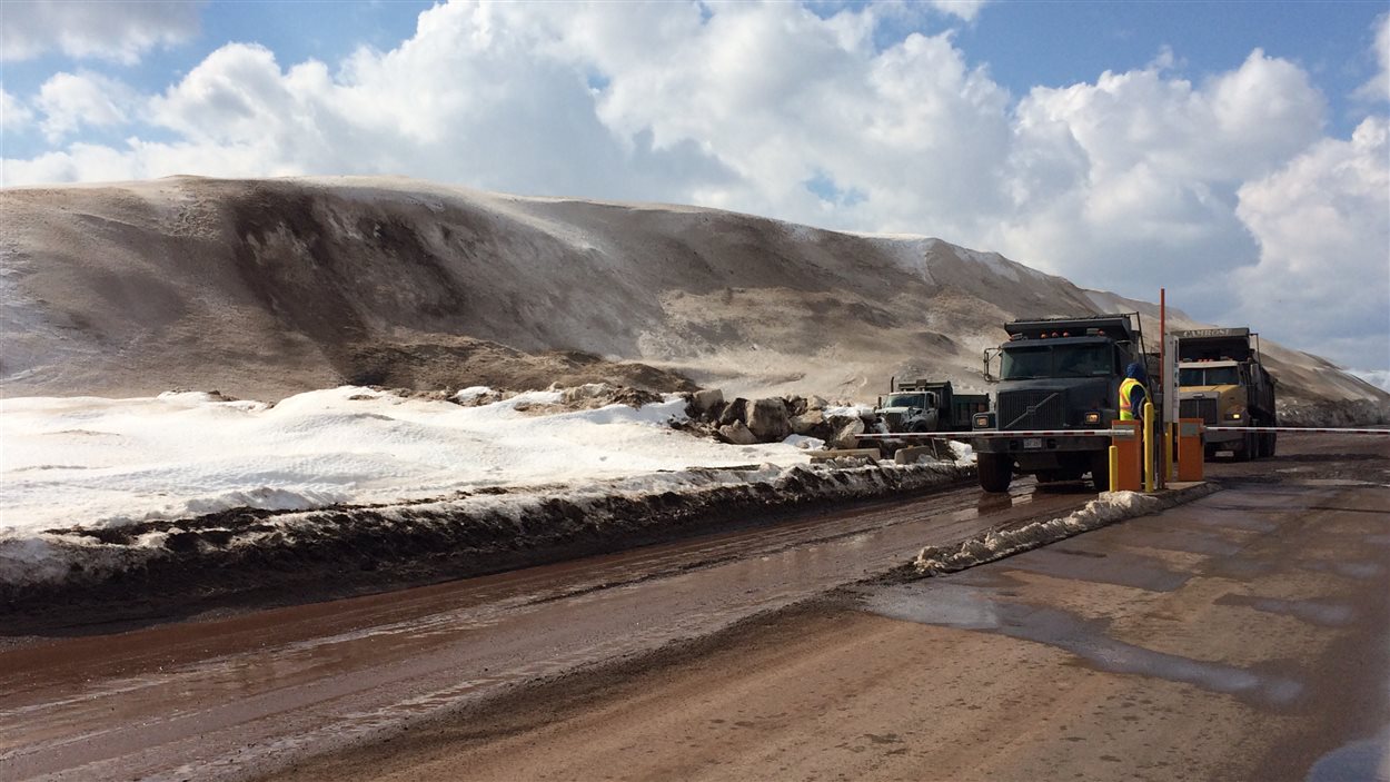 Un air de printemps souffle sur les Maritimes | Radio-Canada