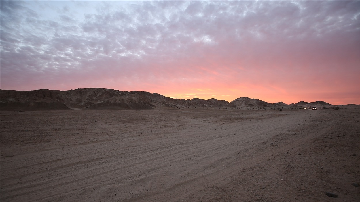 Les Canadiennes découvrent le désert | Radio-Canada
