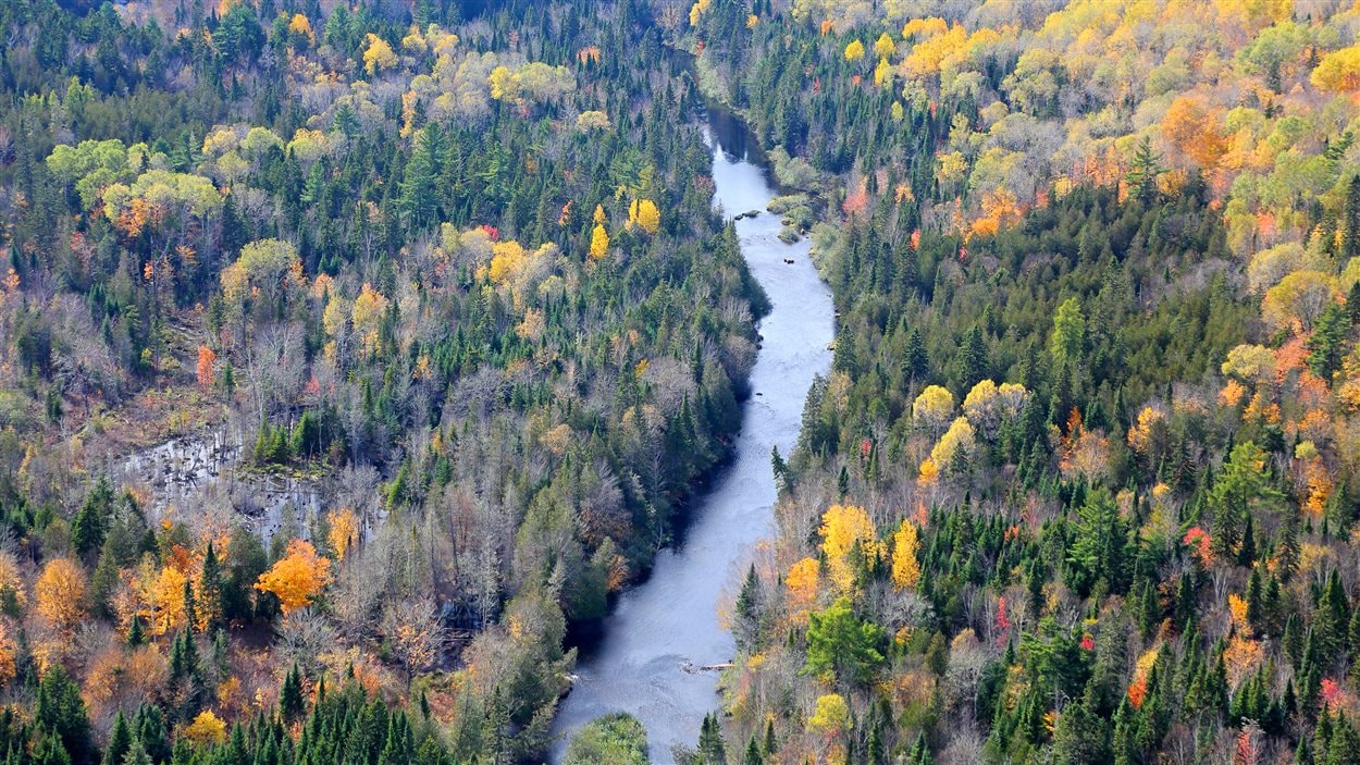 Projet de zone de conservation du saumon dans la rivière Miramichi ...