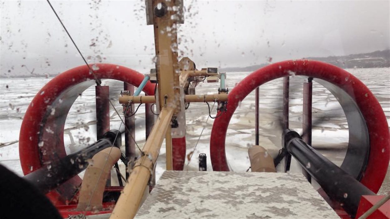 La rivière Ristigouche sous haute surveillance | Radio-Canada