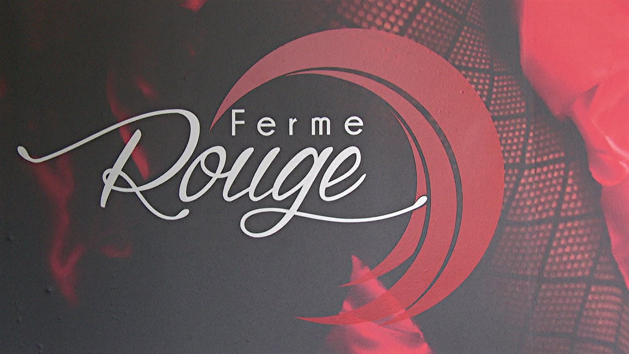 La Ferme Rouge renaît de ses cendres à Aylmer | Radio-Canada.ca