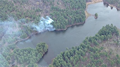 Le feu de forêt au parc du Lac-Beauchamp est maîtrisé | Radio-Canada