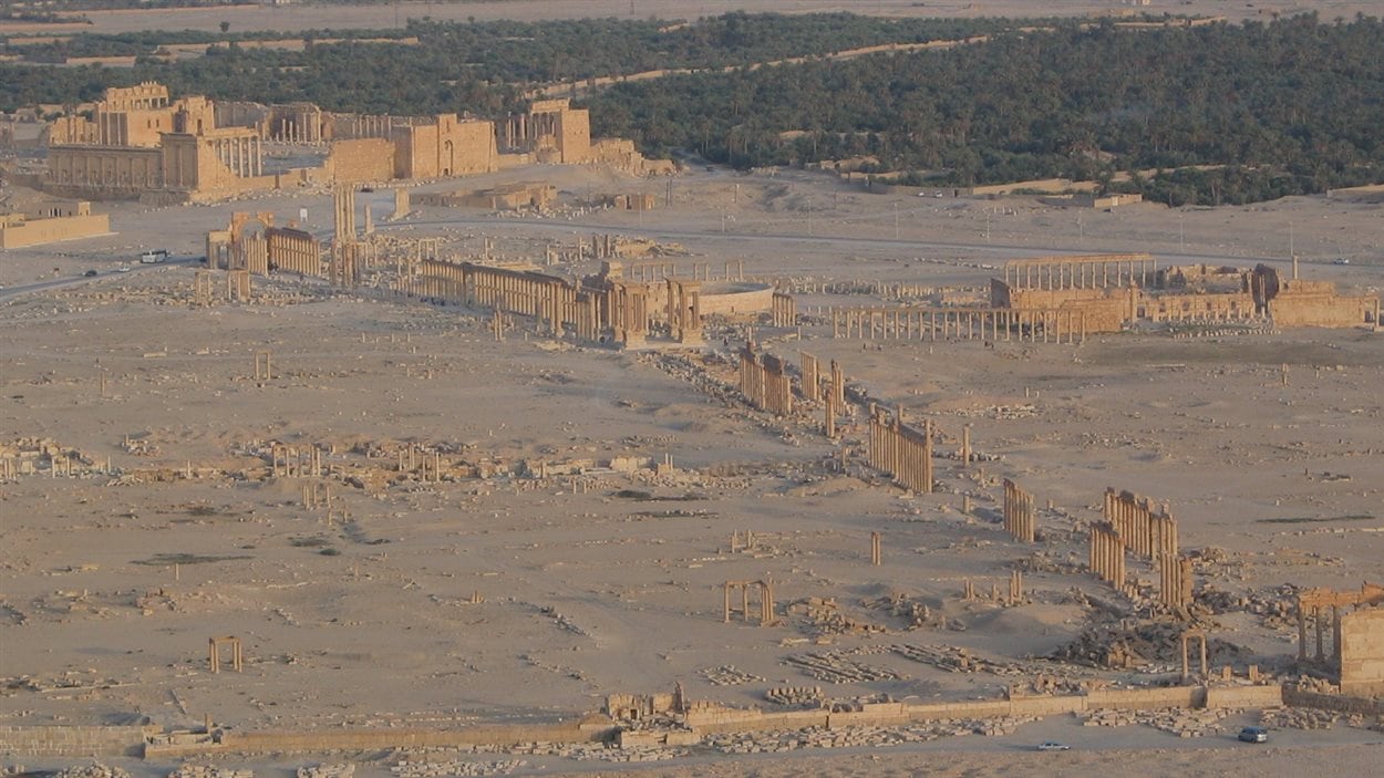 Syrie : Palmyre tombe aux mains de l'EI | Radio-Canada