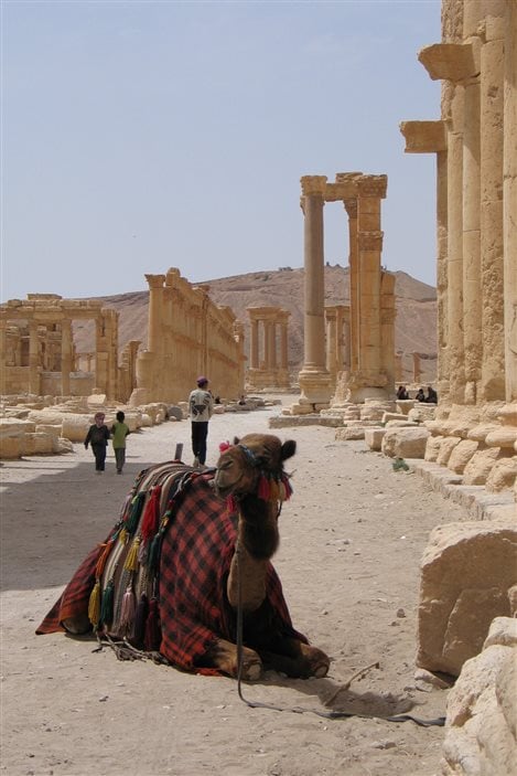 Syrie : Palmyre tombe aux mains de l'EI | Radio-Canada