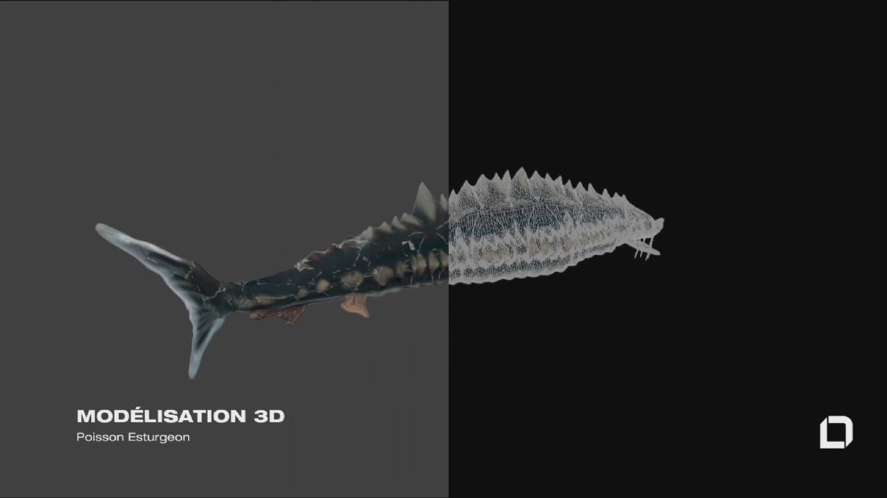 Les coulisses du tournage de la vidéo de Ponik | Radio-Canada.ca