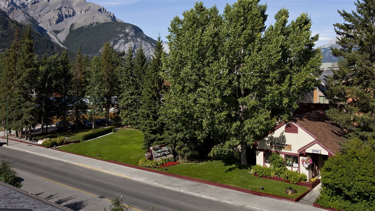 Hôtel qui bloquerait la vue à Banff : des résidents mécontents | Radio ...
