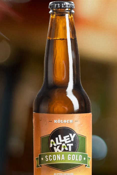 Les honneurs pour une bière brassée à Edmonton | Radio-Canada