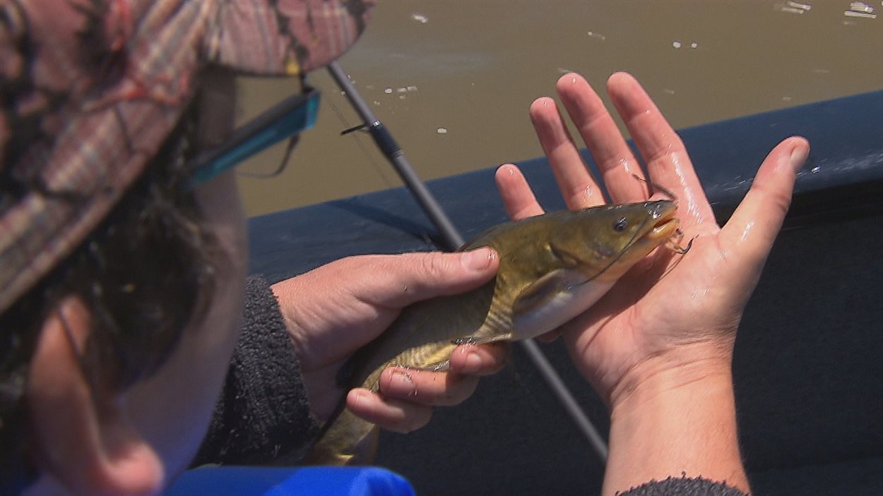 Séance de pêche pour débutants sur le fleuve Saint-Laurent | Radio ...