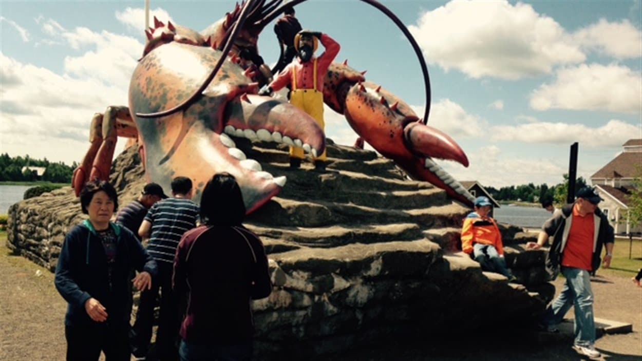 Le gros homard de Shédiac a 25 ans | Radio-Canada