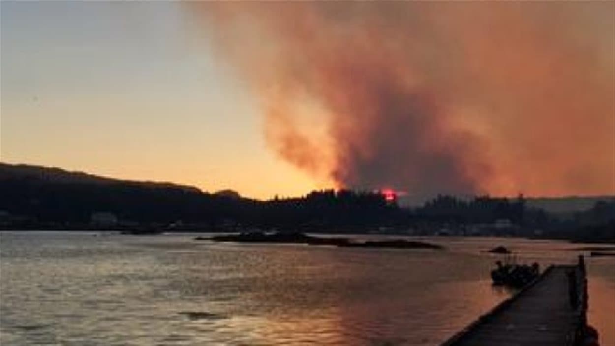 Feux de forêt : état d'urgence à Port Hardy | Radio-Canada
