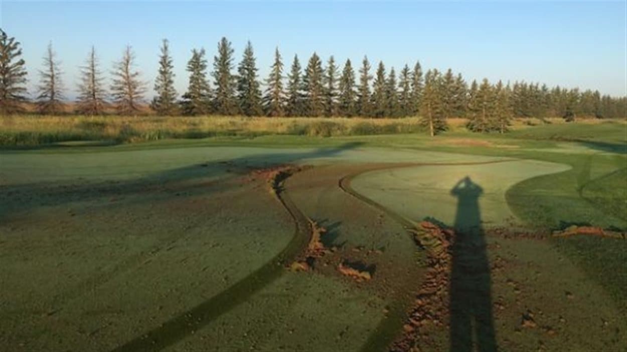 Un véhicule endommage le terrain du club de golf Wascana à Regina ...
