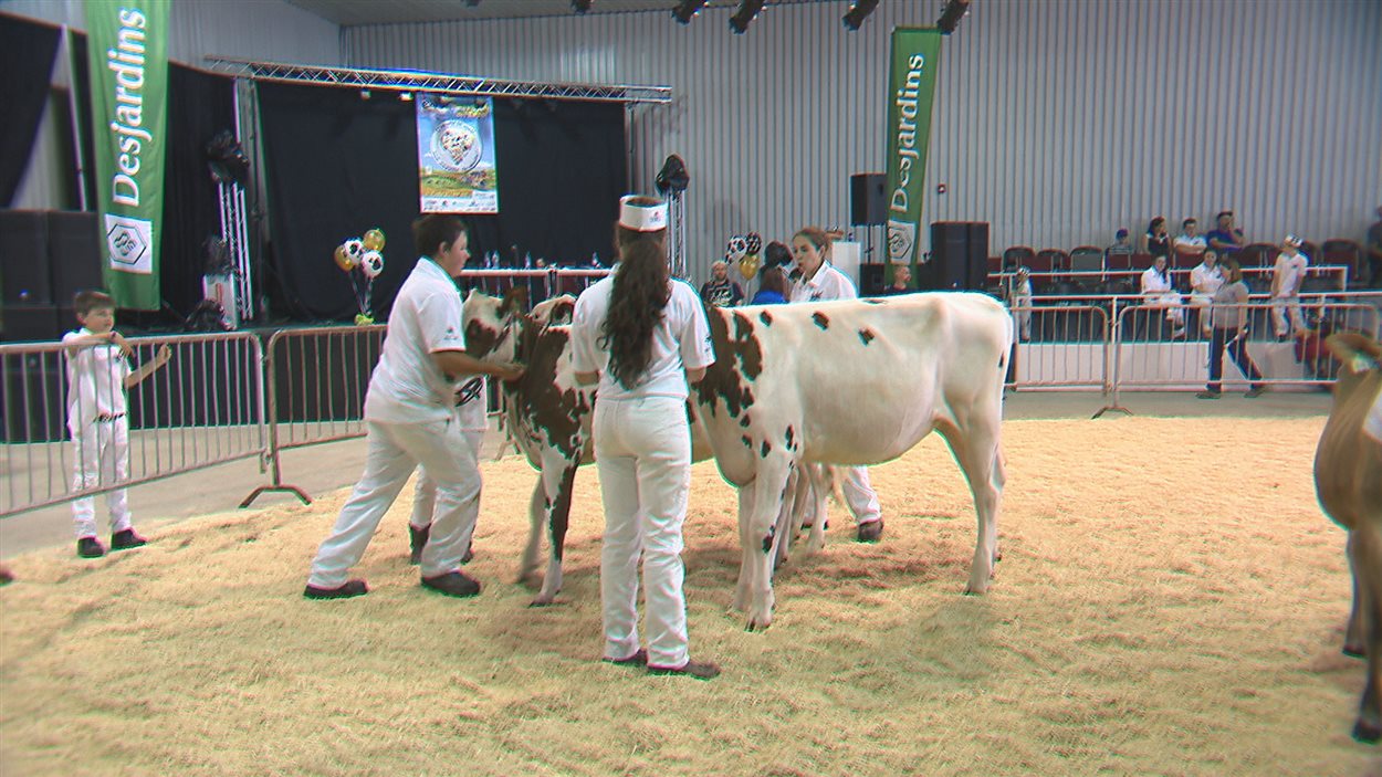 Une 72e Exposition agricole couronnée de succès | Radio-Canada