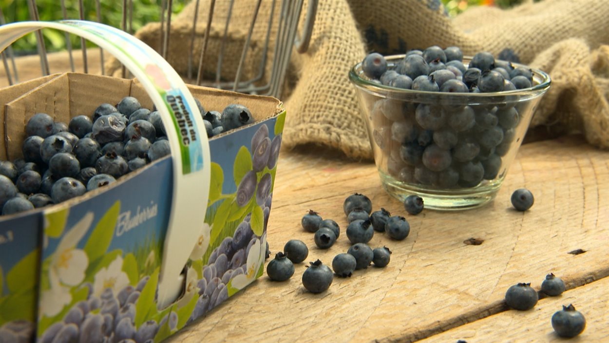 Bonne année pour l'industrie du bleuet, mais pas pour ses producteurs ...