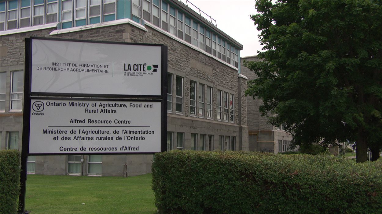 Un projet de 10 M$ pour assurer l'avenir du Collège d'Alfred | Radio-Canada