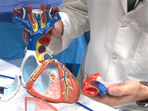 En continu | Science | Radio-Canada | Page 441