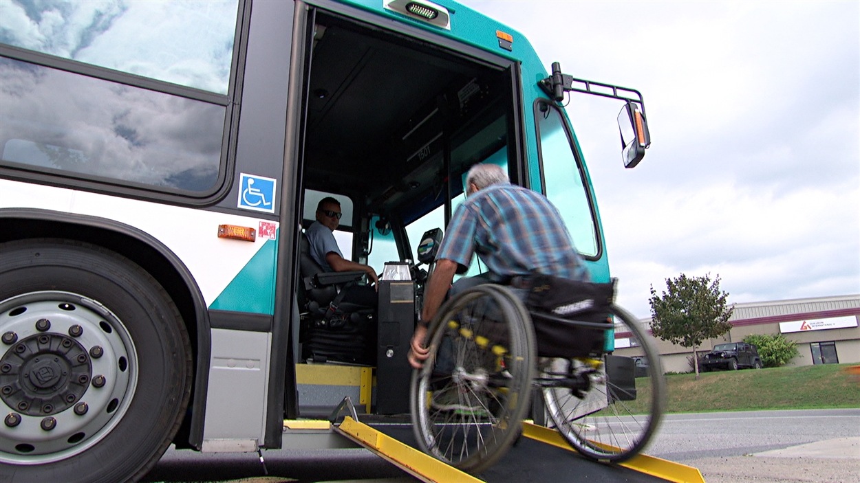 De nouveaux autobus hybrides pour la STO | Radio-Canada