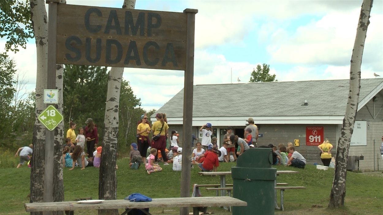 Un ourson aperçu près d'un camp de jour à Sudbury | Radio-Canada