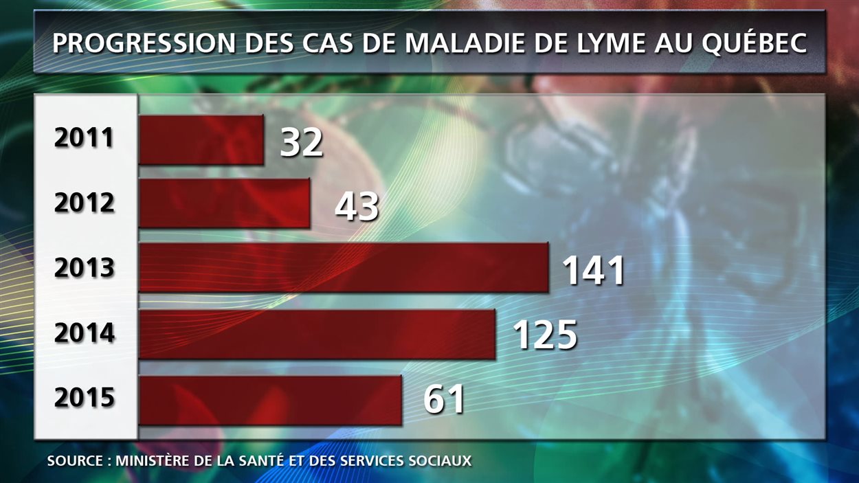 Un cas de maladie de Lyme confirmé dans le Centre-du-Québec | Radio-Canada