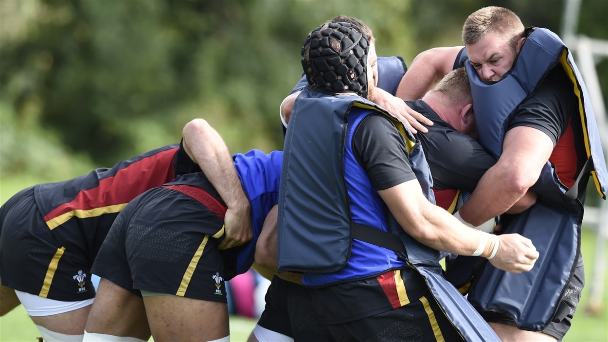 Plusieurs nouveautés pour la Coupe du monde de rugby | Radio-Canada