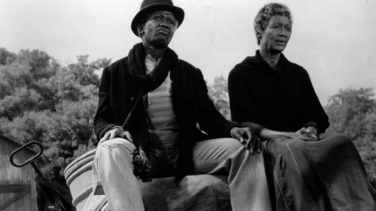Roots, la minisérie de 1977, fera l'objet d'une nouvelle adaptation ...