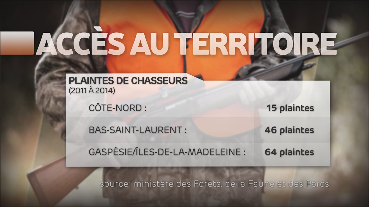Qui va à la chasse se dispute sa place | Radio-Canada