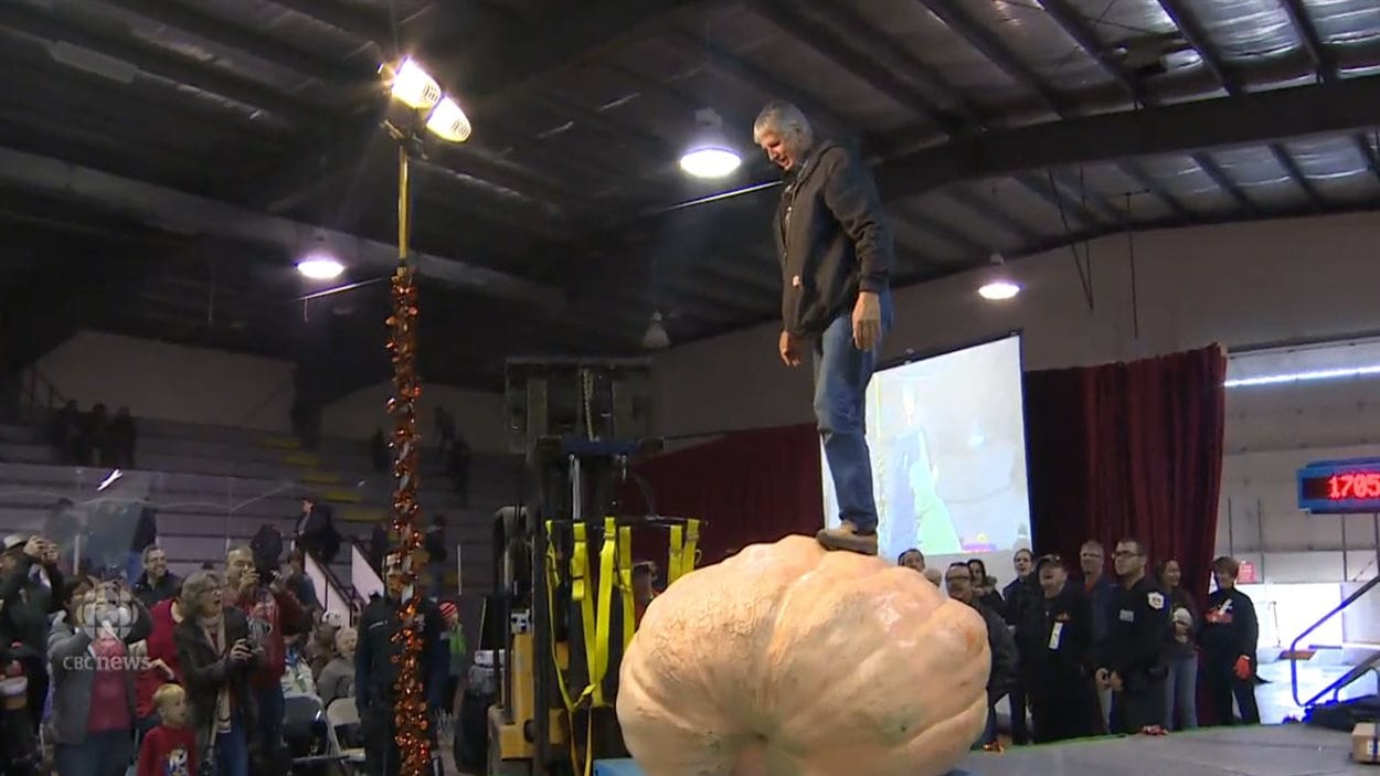Une citrouille de près de 700 kg fracasse un record en Alberta | Radio ...