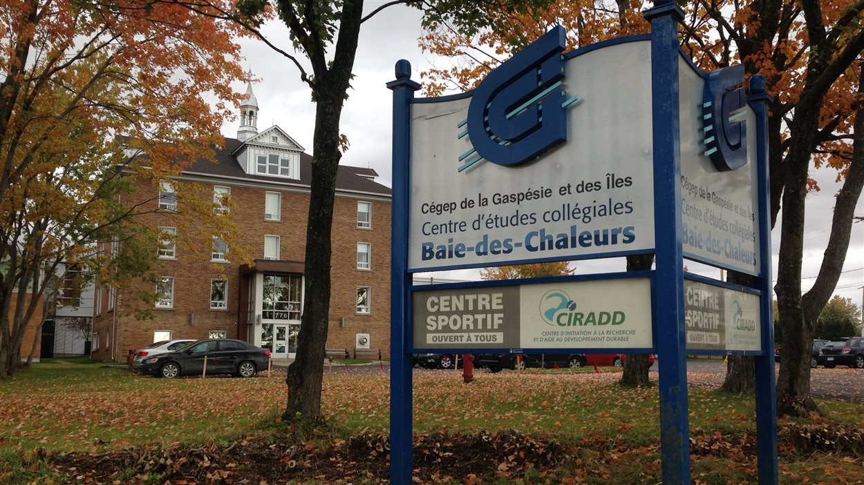 Financement des cégeps : les étudiants ajoutent leur grain de sel ...