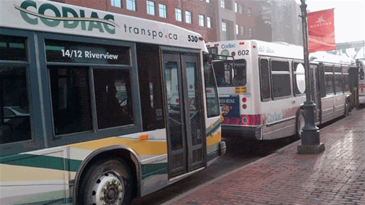 Moncton offre des services d'autobus gratuits pour augmenter l ...