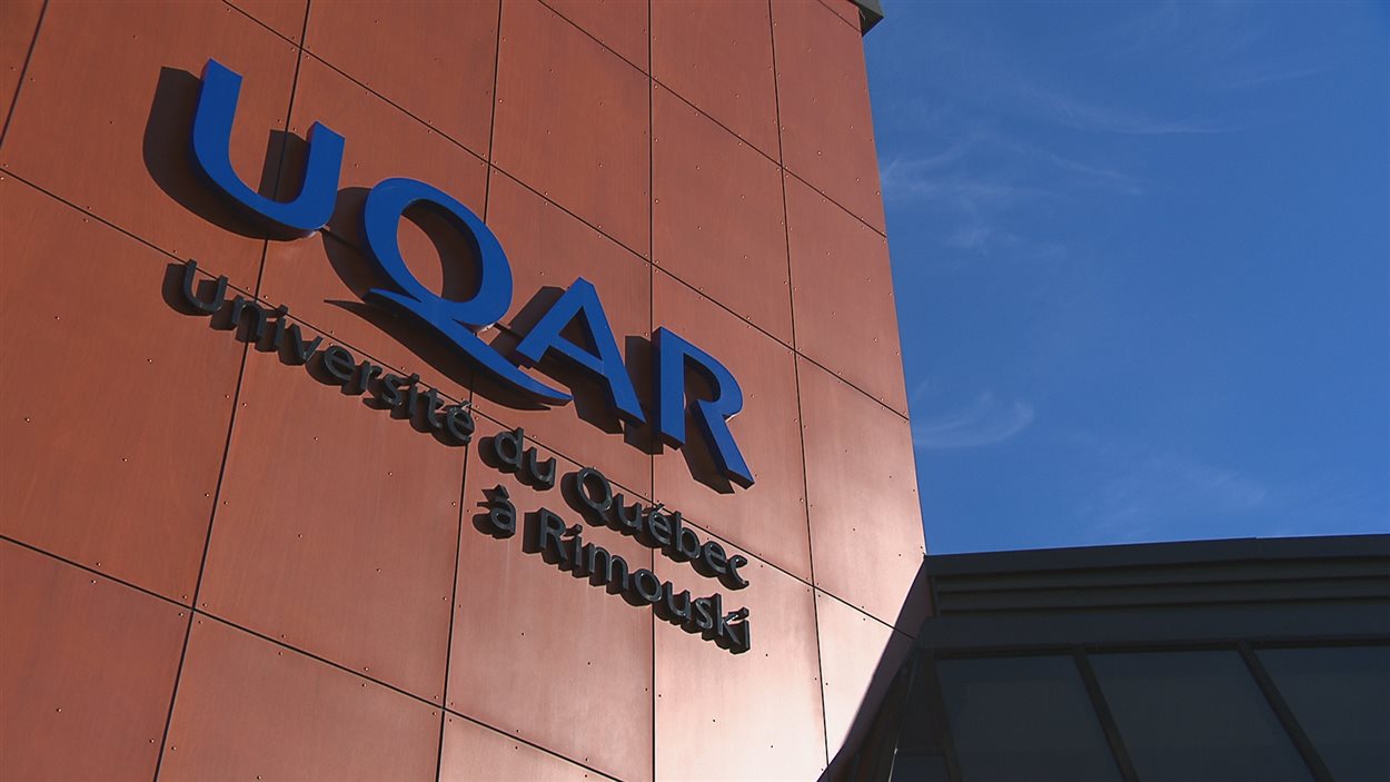 Stimuler l'entrepreneuriat chez les étudiants de l'UQAR | Radio-Canada