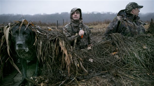 À la chasse aux canards avec Hunter | Radio-Canada