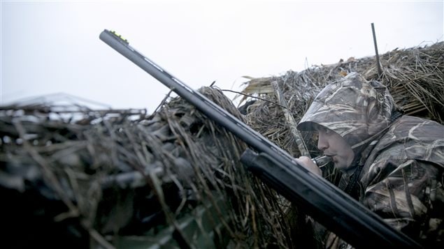 À la chasse aux canards avec Hunter | Radio-Canada