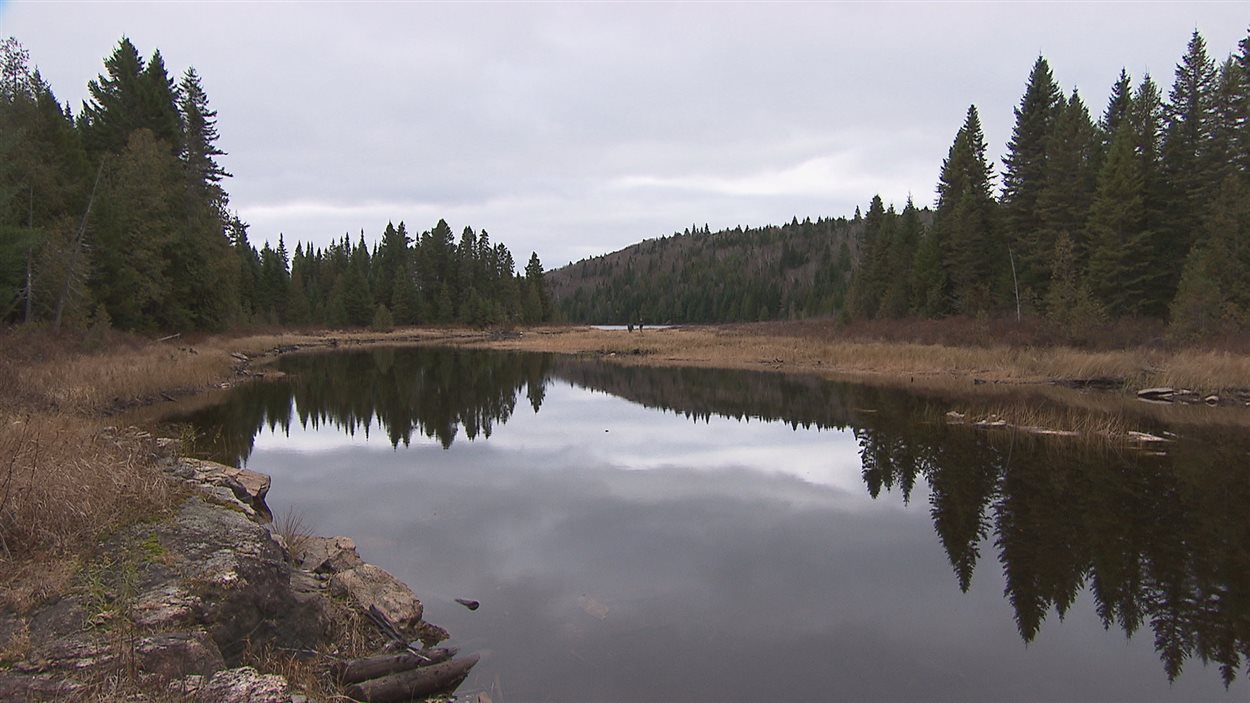Vivre dans le parc national de la Mauricie | Radio-Canada