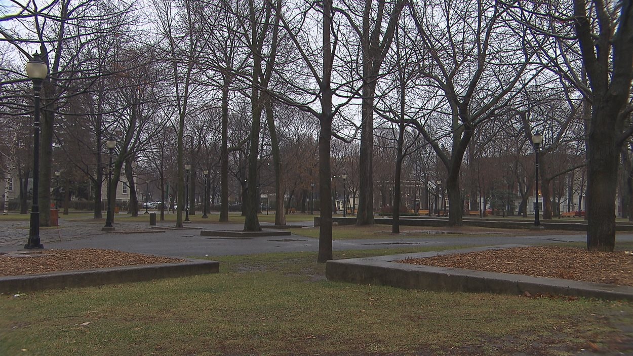 Retour d'une patinoire extérieure au parc Champlain | Radio-Canada