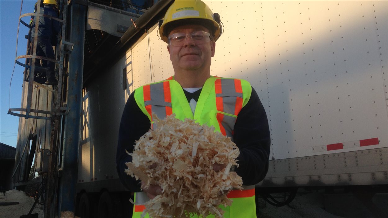 Du carburant à partir de bois : un tout nouveau marché s'ouvre dans les ...