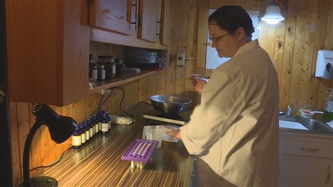 Des produits cosmétiques régionaux | Radio-Canada