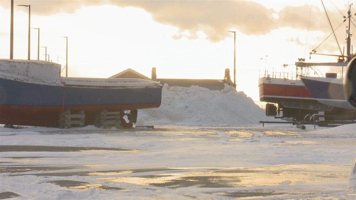 Marina de Rimouski : les plaisanciers déçus | Radio-Canada.ca