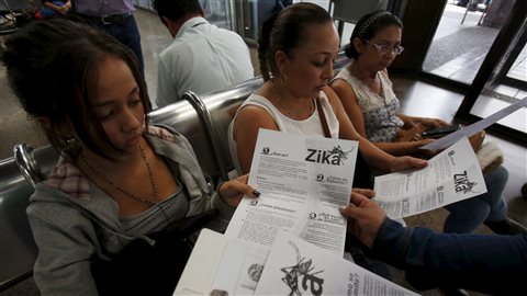 L'OMS considère le virus Zika comme une urgence mondiale | Radio-Canada