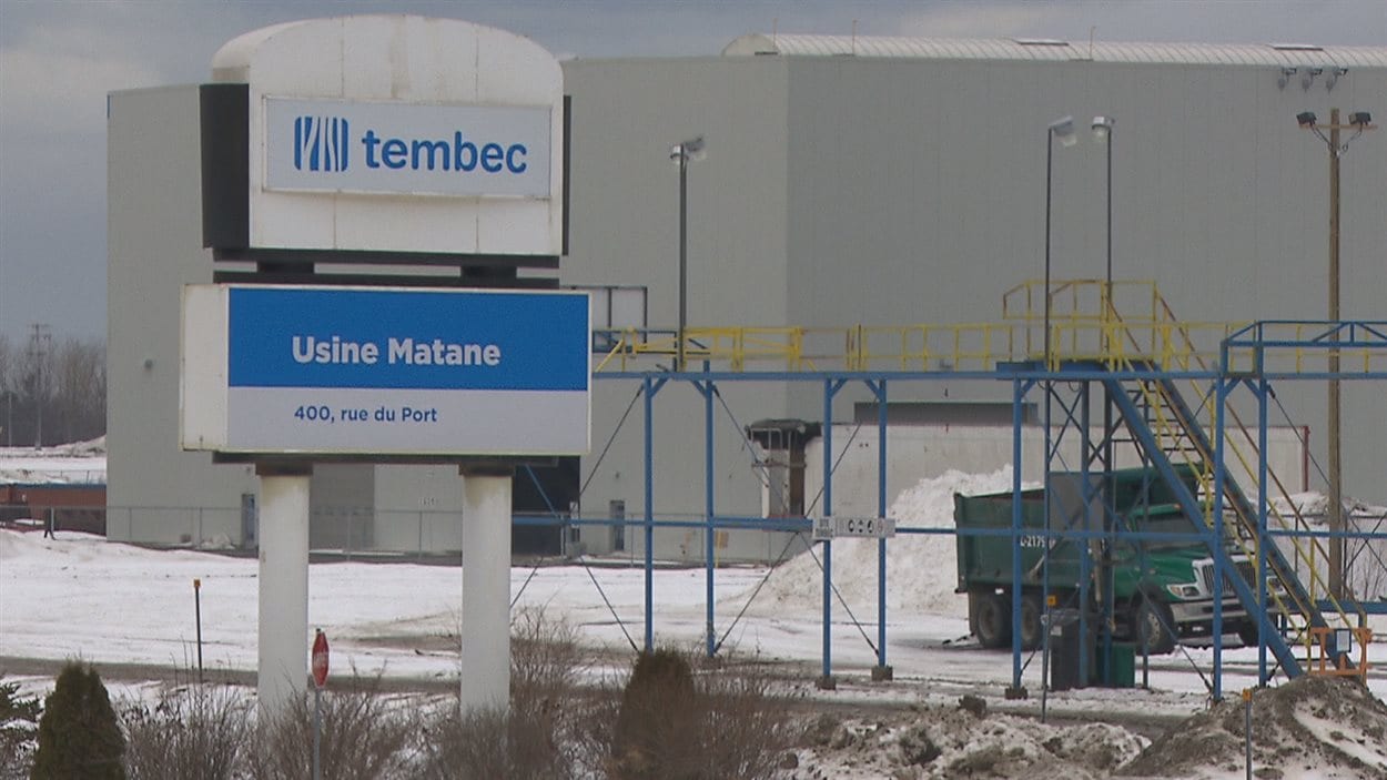 Vers une augmentation de production à Tembec Matane | Radio-Canada