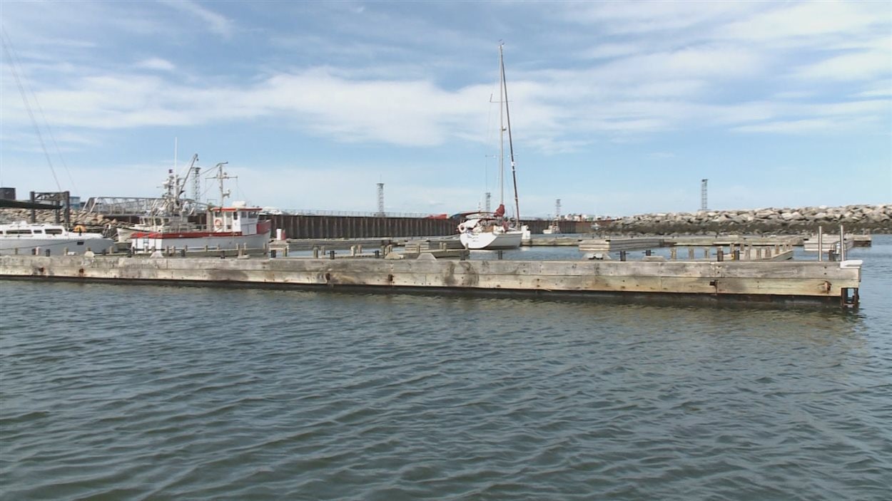 La Marina de Rimouski devrait être accessible cet été | Radio-Canada