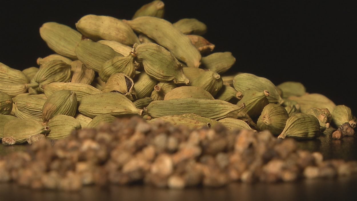 La culture de la cardamome | La semaine verte