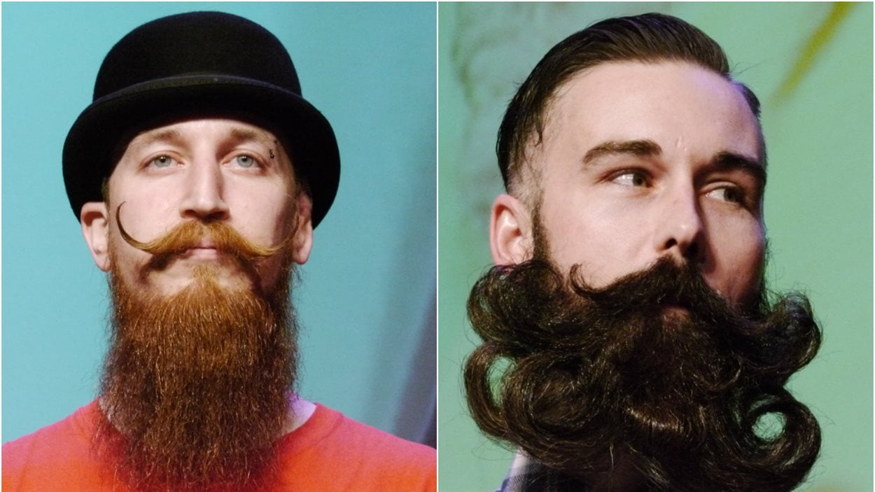 EN IMAGES - Un concours au poil | Radio-Canada