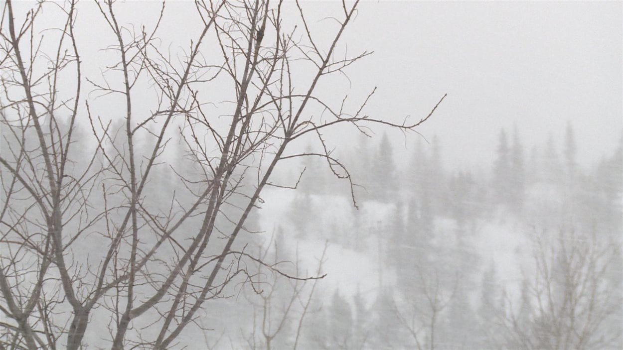 La tempête hivernale s'installe sur la Côte-Nord | Radio-Canada