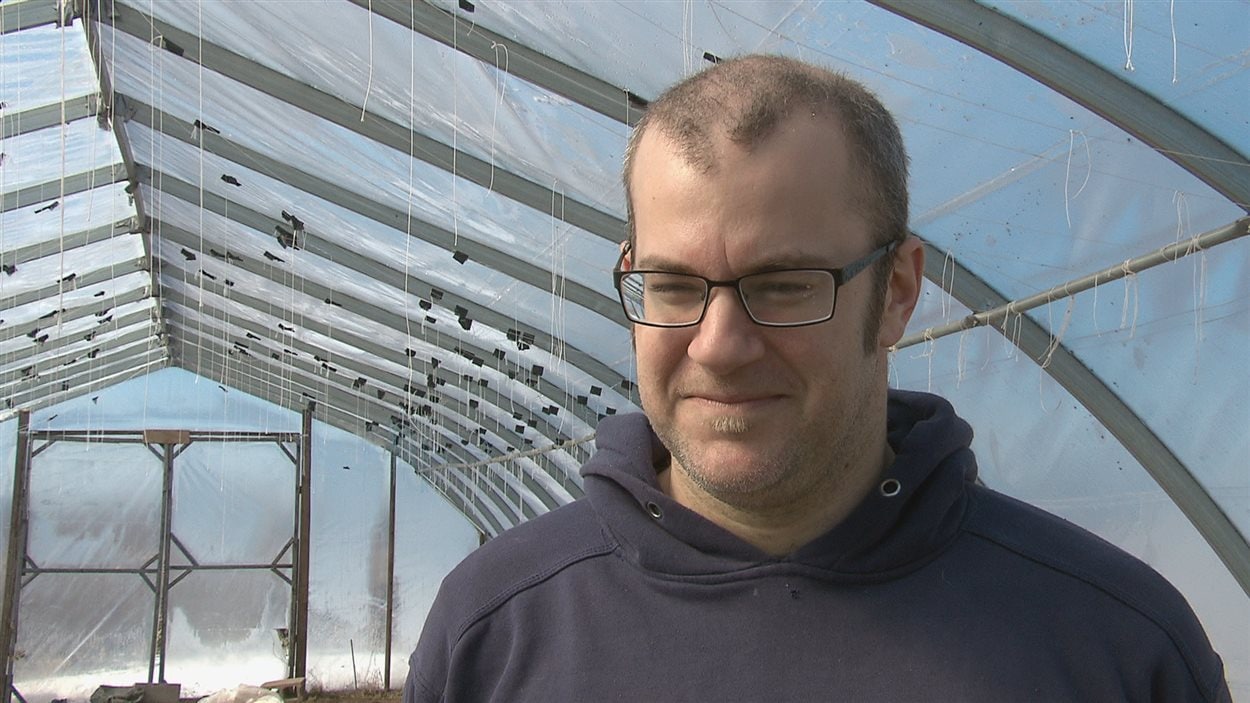 Hausse du prix des aliments : la production locale de plus en plus ...