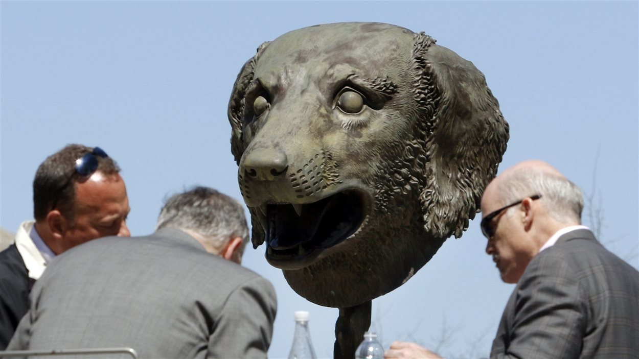 Des sculptures de têtes d'animaux géantes en plein coeur de Boston ...