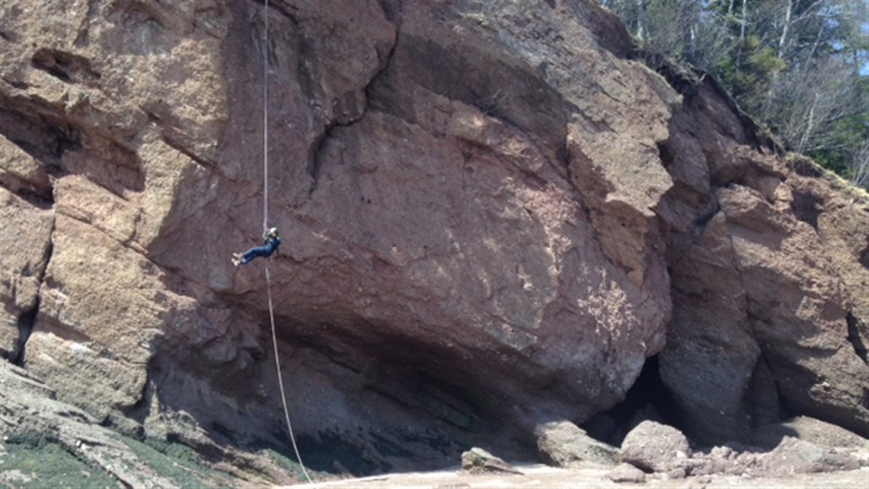 Grand ménage du printemps aux rochers Hopewell | Radio-Canada