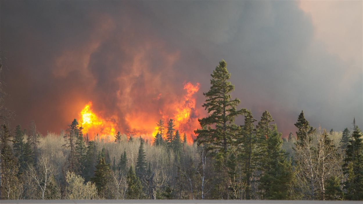 Feux de forêt : un souci constant au Parc national Kouchibouguac ...