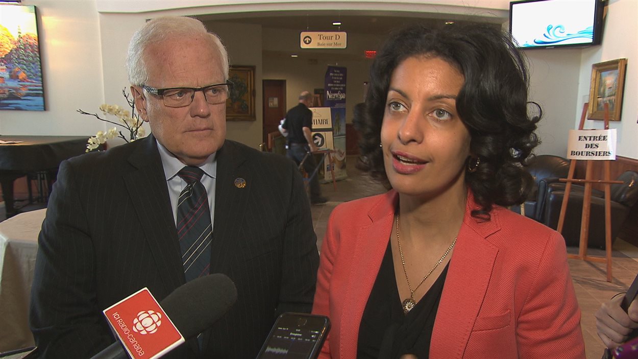 Nouvelle stratégie pour développer le nord du Lac-Saint-Jean | Radio-Canada