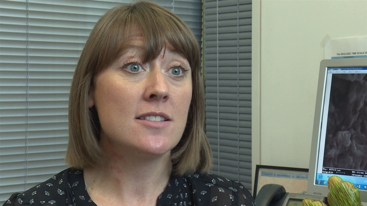 Du sang de dinosaure vieux de 75 millions d’années | Radio-Canada