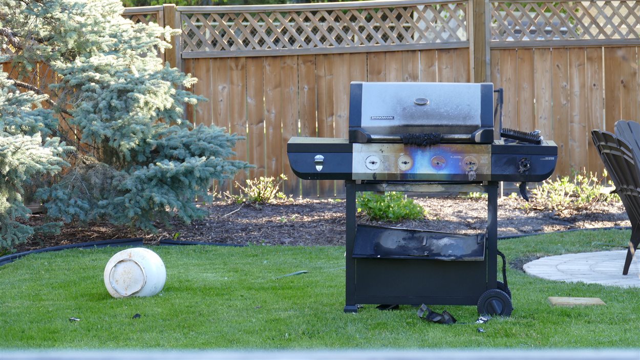 Attention : une toile d’araignée pourrait faire exploser votre barbecue ...