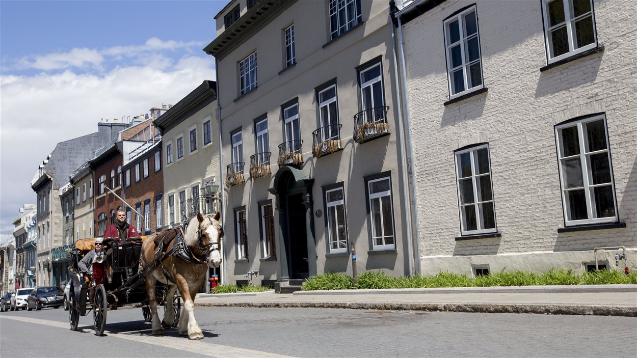 Moratoire sur les calèches à Montréal : les cochers de Québec ...